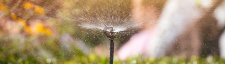 Aanleggen beregeningssysteem voor een kleine(re) tuin | Wildkamp